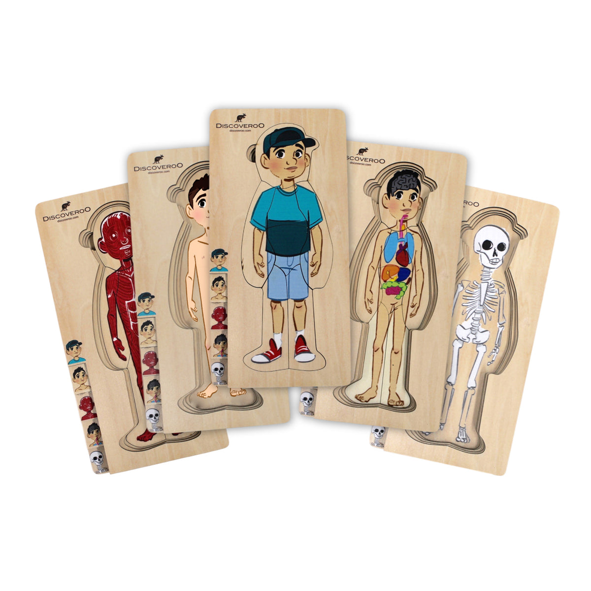Body Layer Puzzle - Boy - Geppetto's Workshop