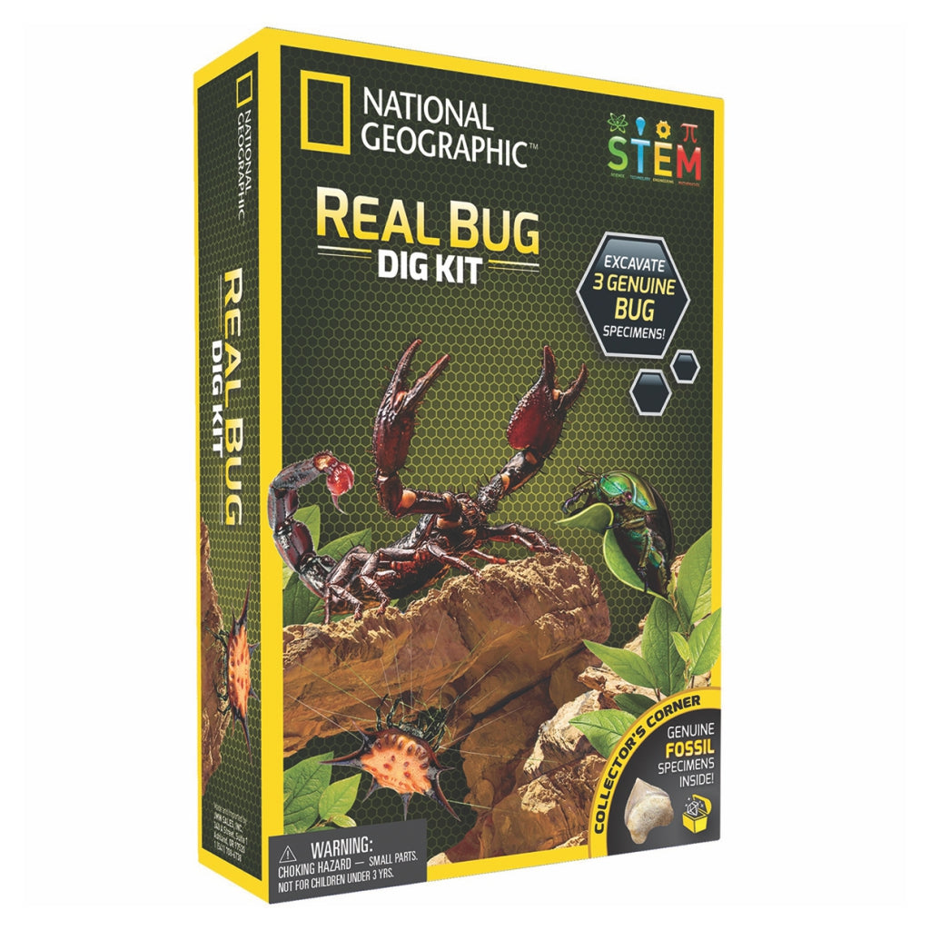 Real Bug Dig Kit - Geppetto's Workshop